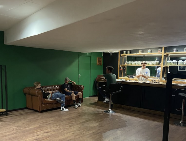 Cape Town Cannabis Map | Find all CPT Cannabis Dispensaries & Clubs ...